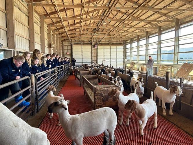 During National FFA Week, local youth eye their futures