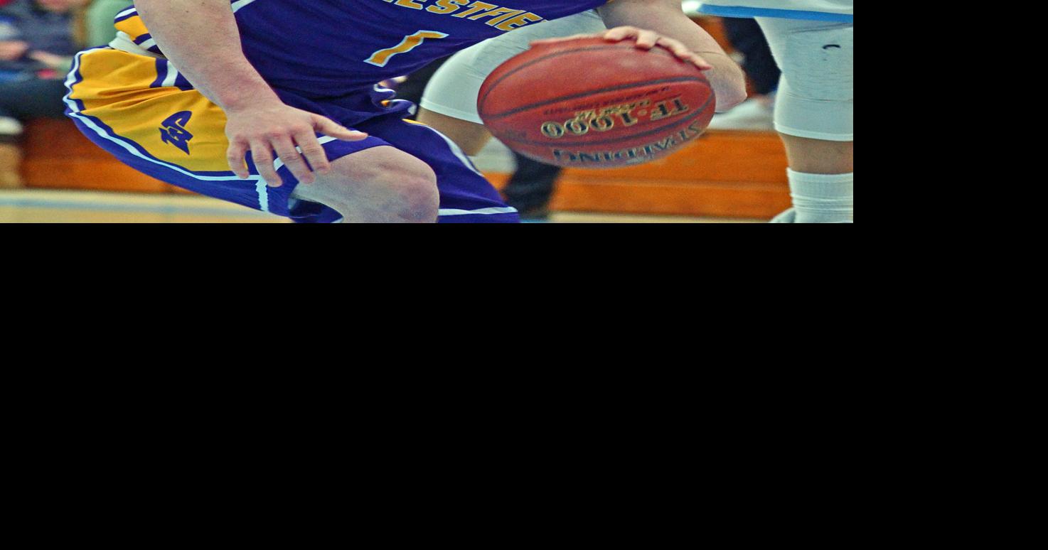PREP BASKETBALL: Pardeeville's Henke, others from area land spot on All ...