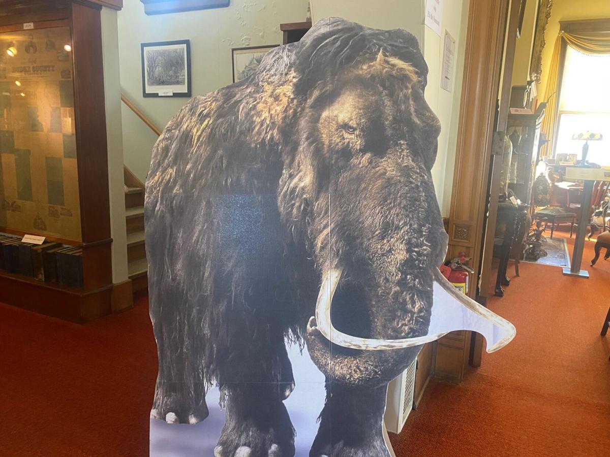 Dodge County Historical Society begins mammoth task of creating life ...