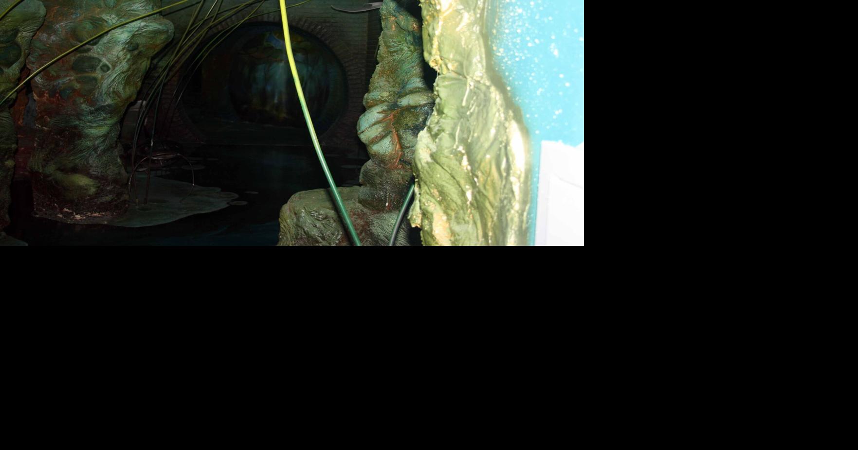 PHOTOS: Wizard Quest opens up expanded location