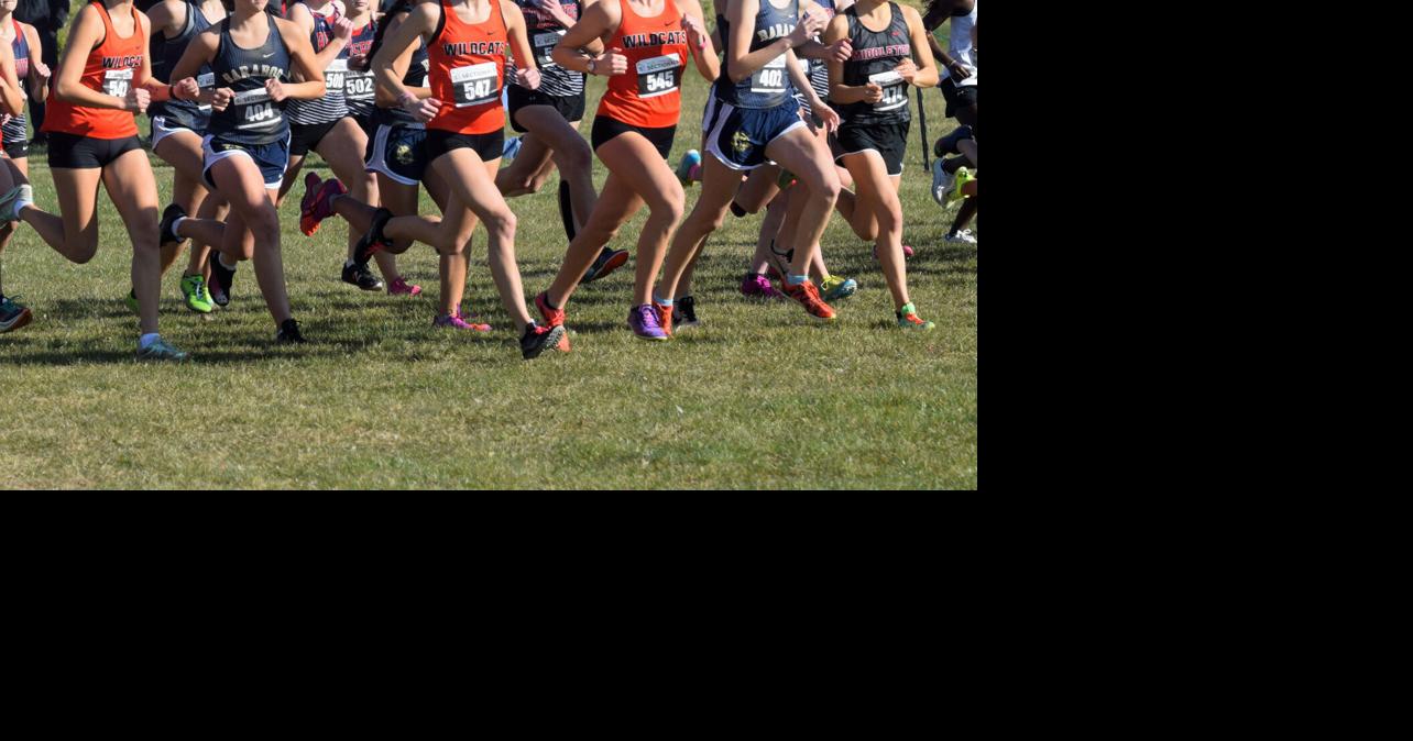 Photos: Area runners take on WIAA Division 1 DeForest cross country ...