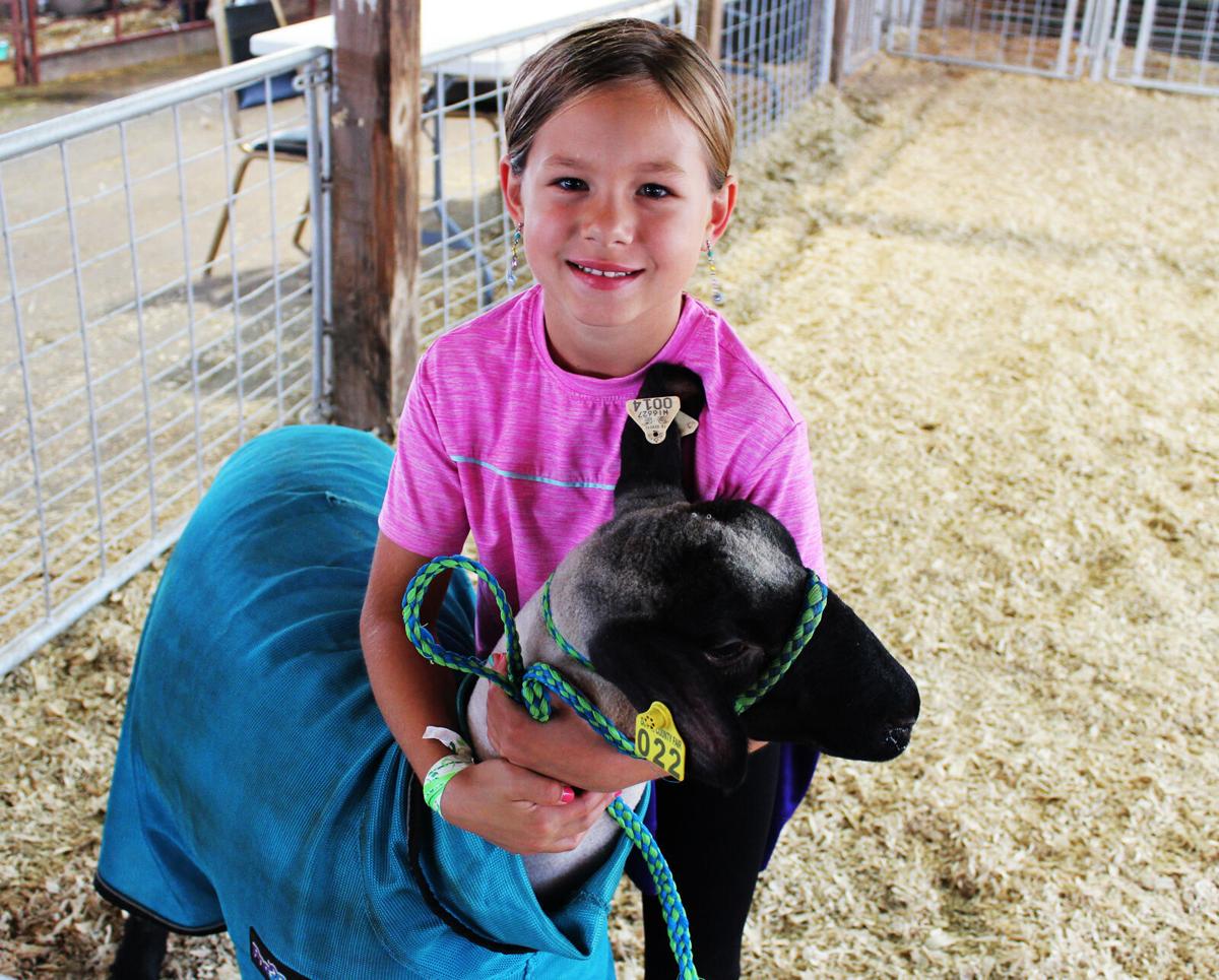 Dodge County Fair kicks off Wednesday