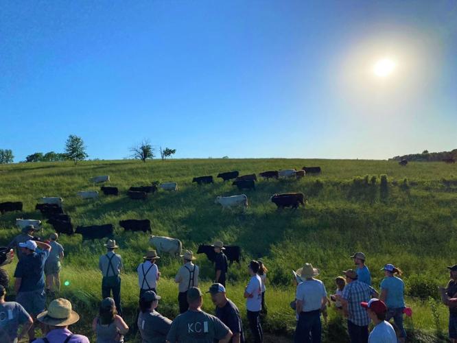 Fertile discussions to be had during Sauk County Pasture Walks
