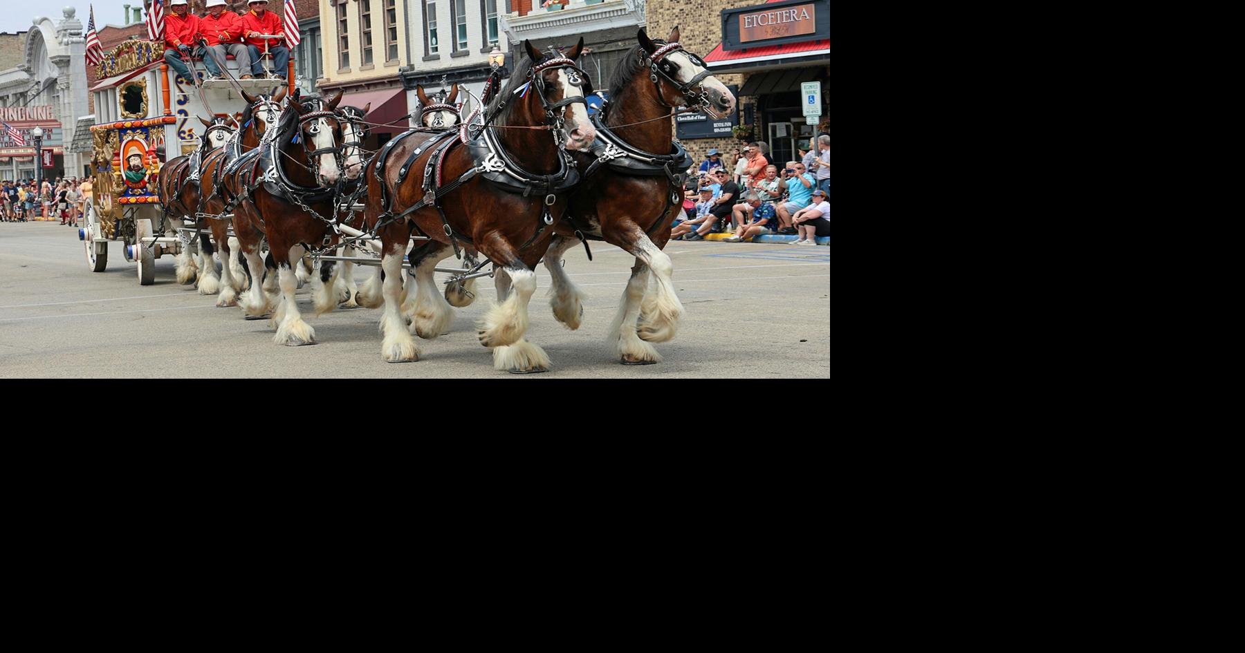 Big Top Parade returns on June 8