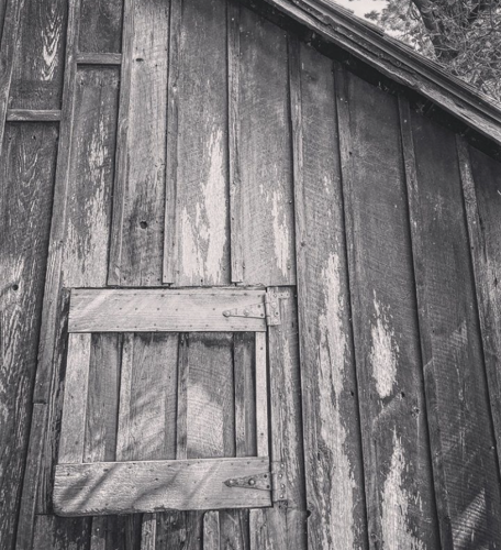 Bringing Aldo Leopold's rural Shack to you, virtually