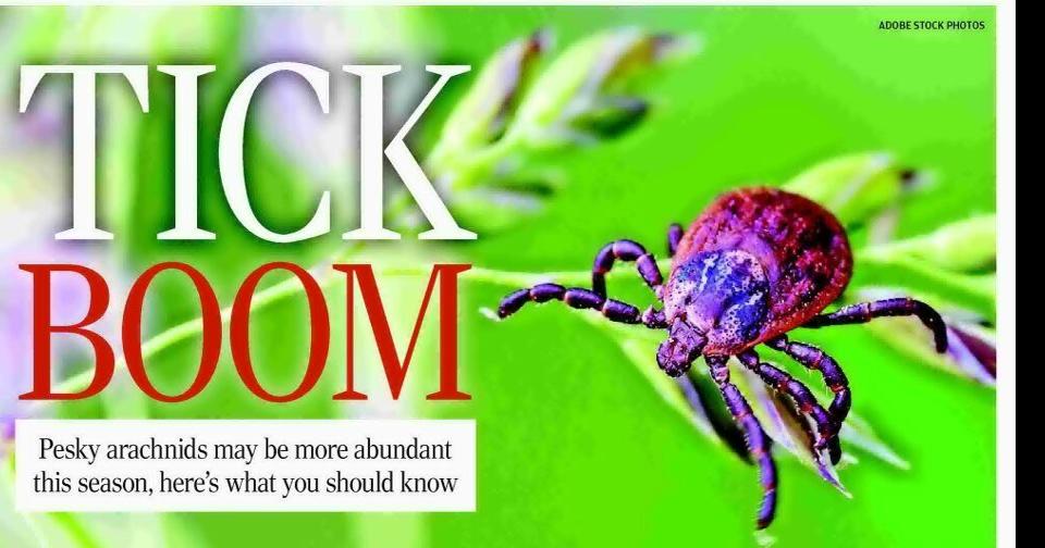 TICK BOOM