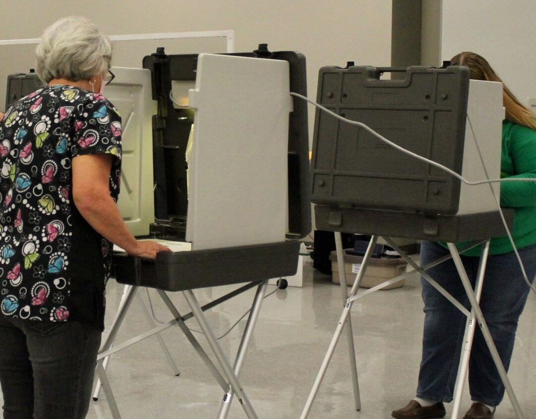 A look at who is on the ballot in Dodge County