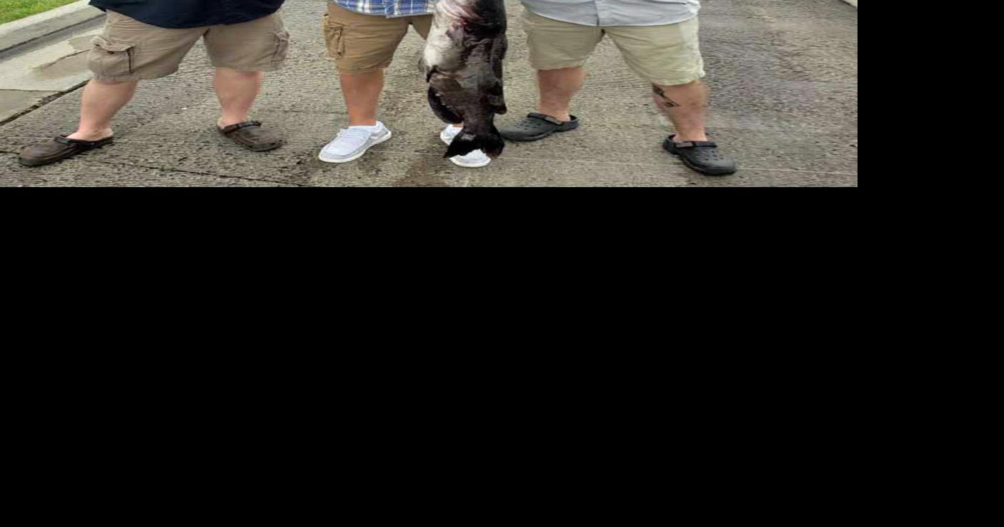 Indiana man lands state bowfishing record channel catfish in Wisconsin ...