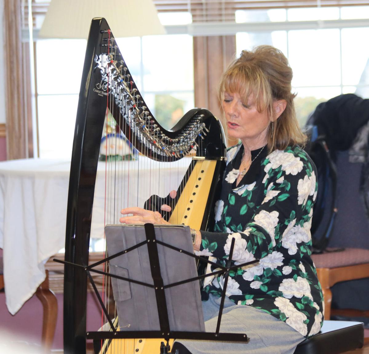 Sarazin to entertain with Celtic harp