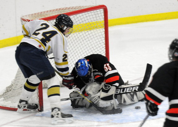 Prep girls hockey: Sakry, Badger Thunder thump Viroqua, 11-0
