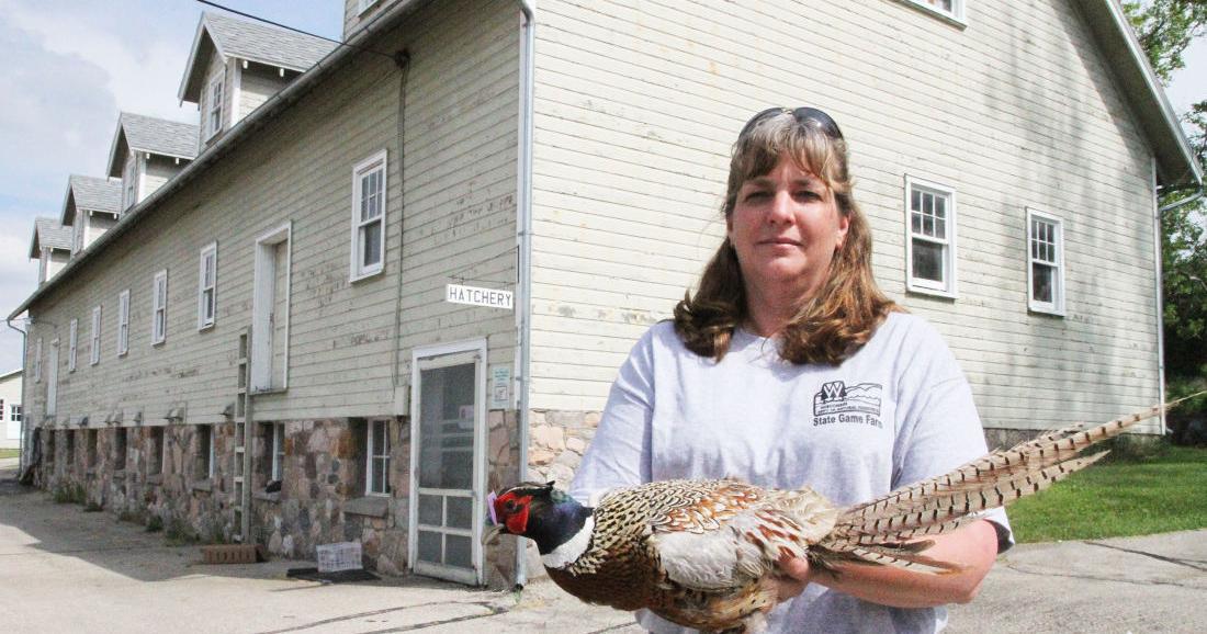 Poynette pheasant farm to get new hatchery