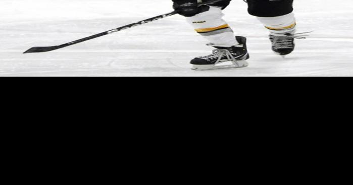 MnJHL hockey playoffs: Ducks shock the world with sweep of IceHawks