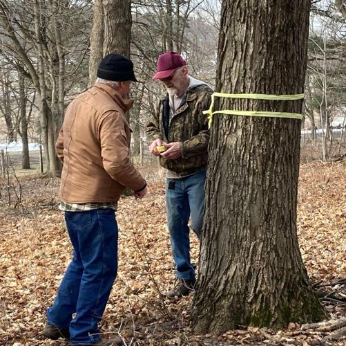 Tap into maple syrup fun at the MacKenzie Center