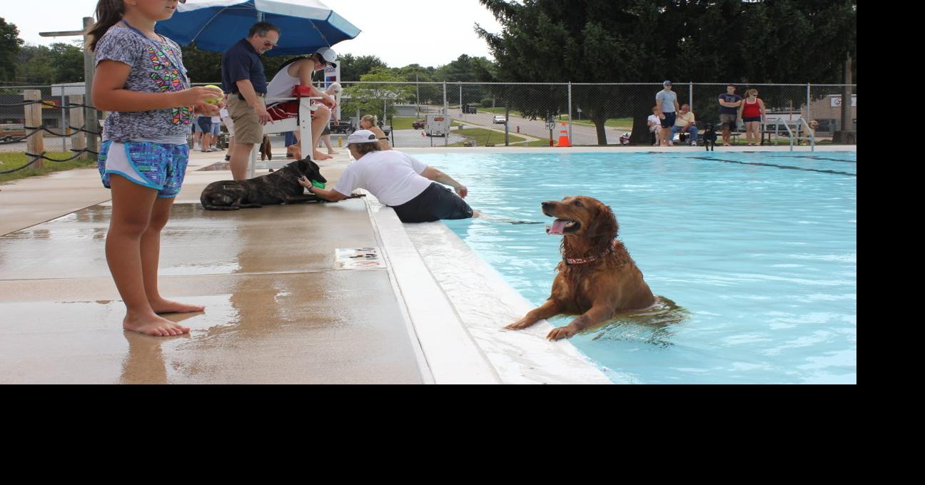 Baraboo swimming pool goes to the dogs