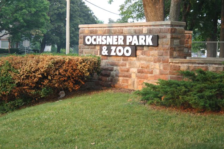 Ochsner Park trees infested with spongy moths, city to decide on actions