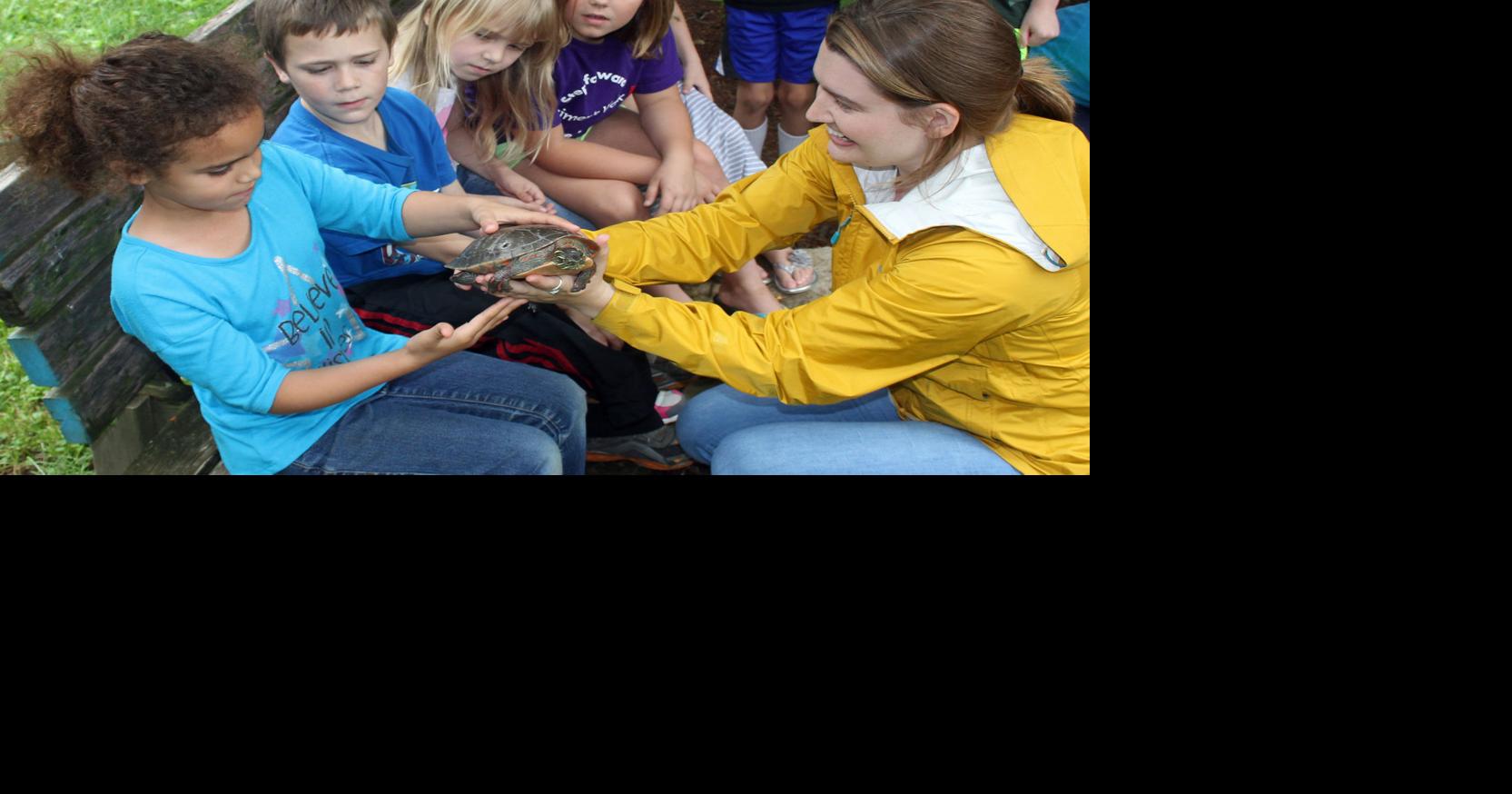 'Bruce' the turtle finds new home