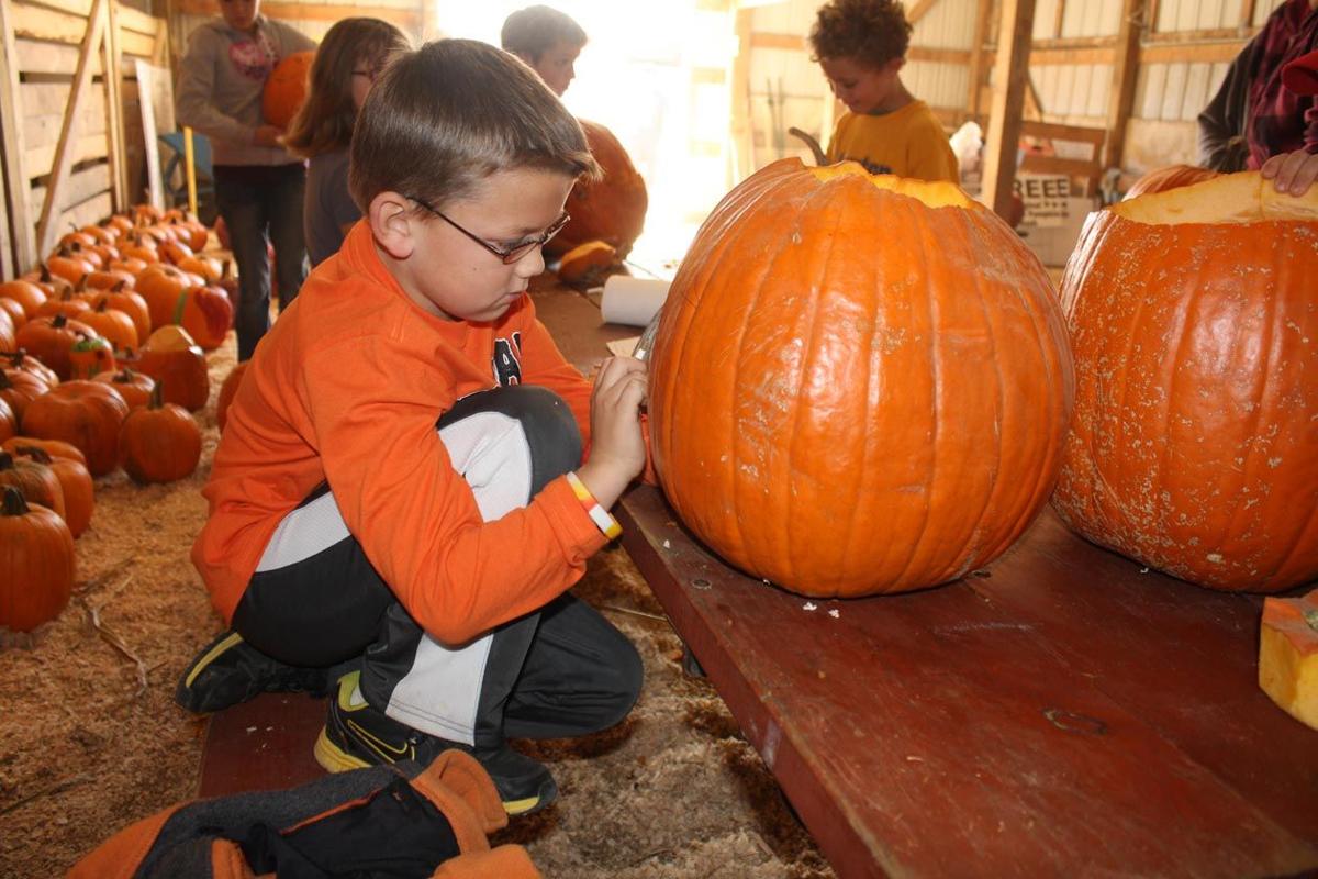 Mauston’s 7th Bash this weekend