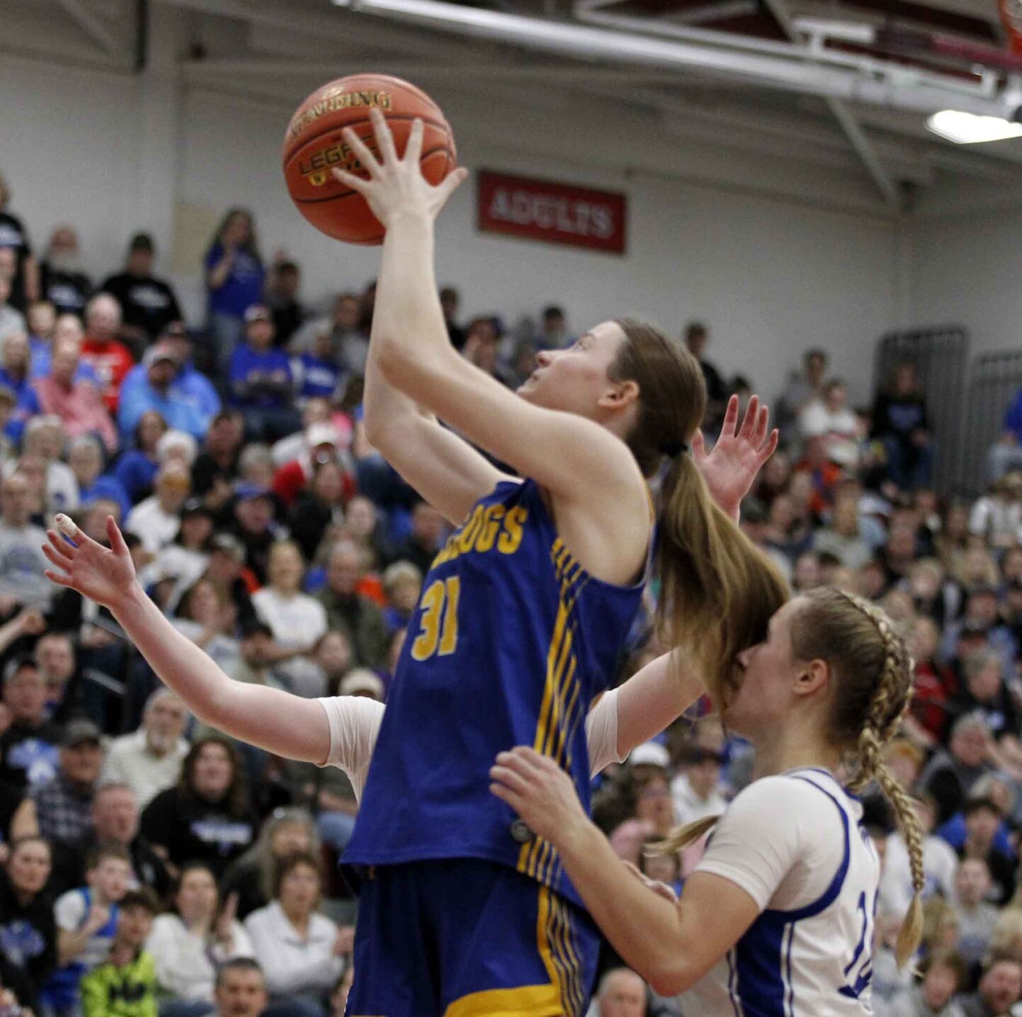 Wisconsin Dells girls basketball wins sectional final