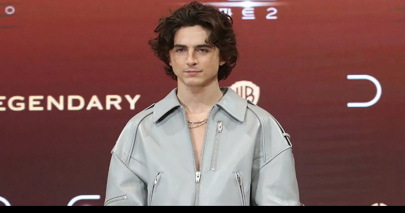Timothée Chalamet Signs Warner Bros. Deal Following 'Wonka' and 'Dune' Success | THR News Video