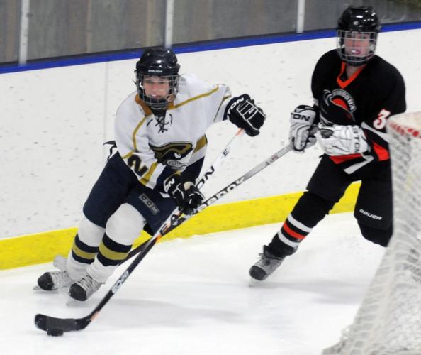 Prep girls hockey: Sakry, Badger Thunder thump Viroqua, 11-0