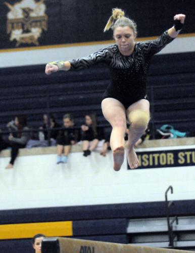 PREP GYMNASTICS: Baraboo alum Haley Brooks taking over former program