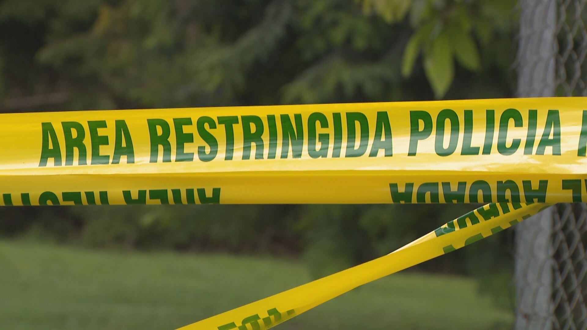 Tía de menor apuñalado en Barranquitas también resultó herida ...