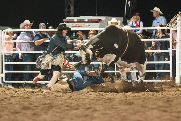 Cowboy Christmas - 59th Taylor Night Rodeo | Latest News | wmicentral.com