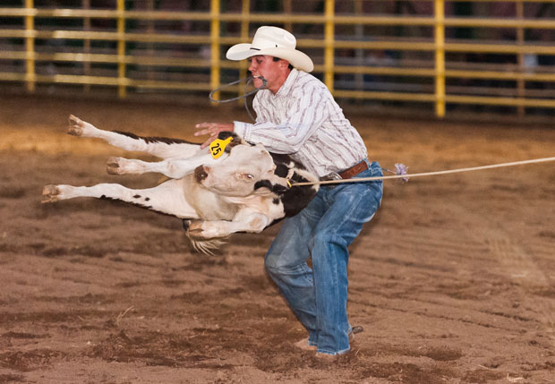 Taylor riders win bareback titles | Local Sports | wmicentral.com