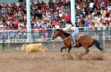 Apache County Sheriff's Posse 4th of July Rodeo | Apache County ...