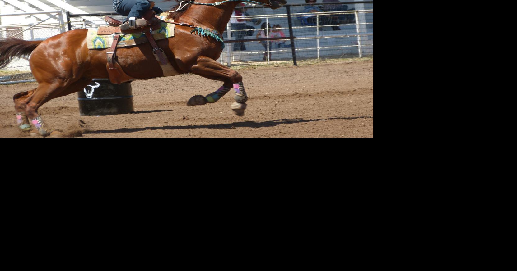 Round Valley Roundup cinched up fun | Latest News | wmicentral.com