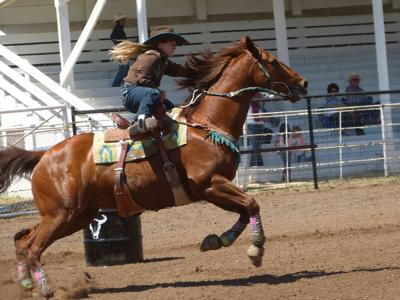 Round Valley Roundup cinched up fun | Latest News | wmicentral.com
