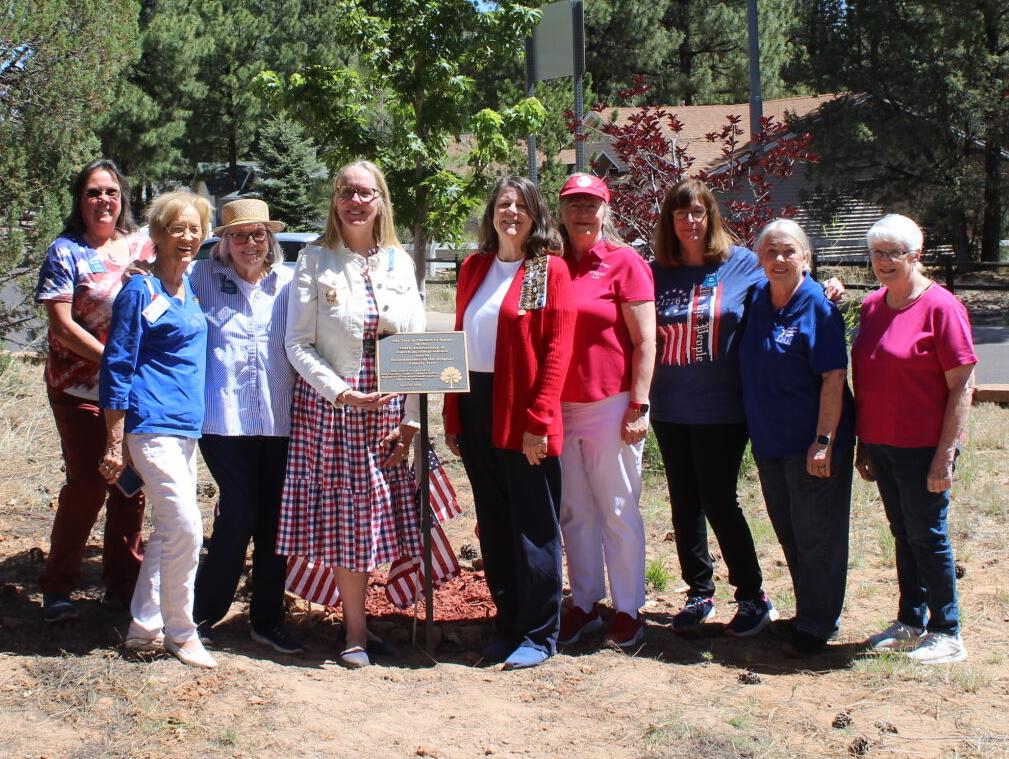 Liberty Tree takes root in Show Low | News | wmicentral.com