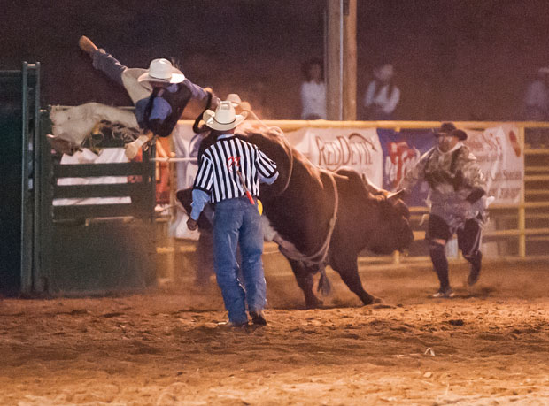 Taylor riders win bareback titles | Local Sports | wmicentral.com