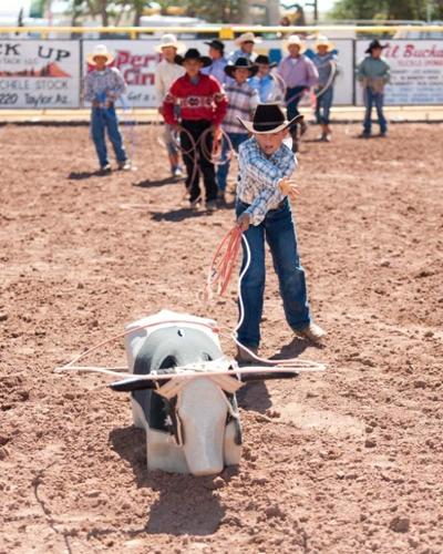 Ride 'em Little Buckaroos - Navajo County Fair | Multimedia ...