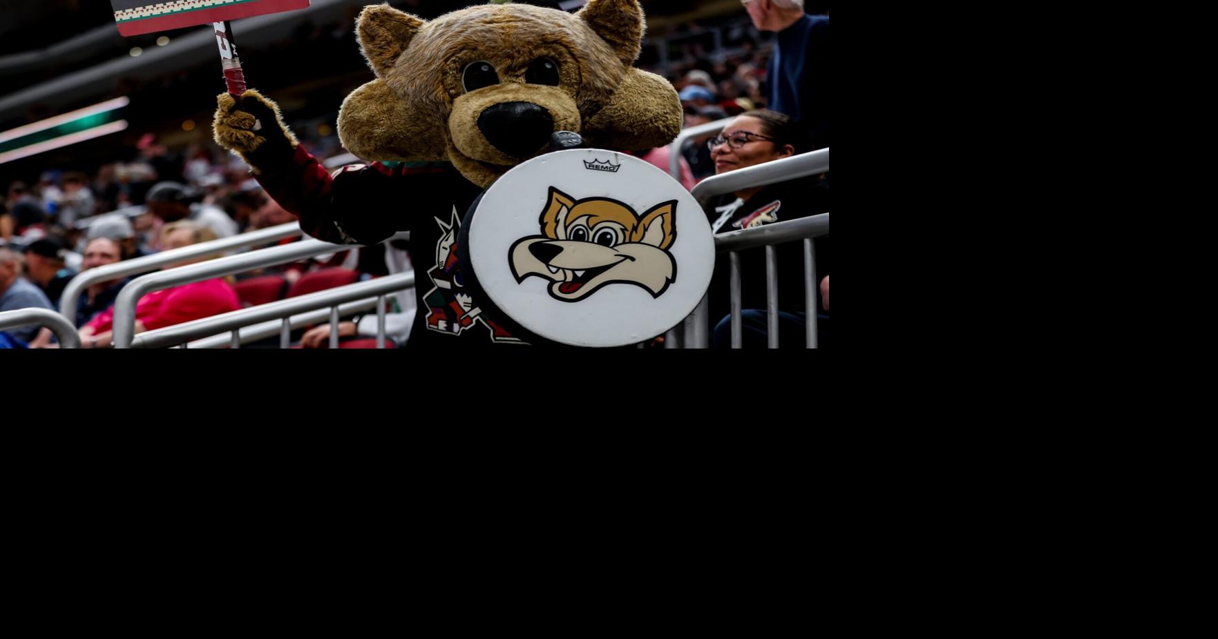 It’s official: NHL approves Arizona Coyotes’ $1.2B Sale, relocation to ...