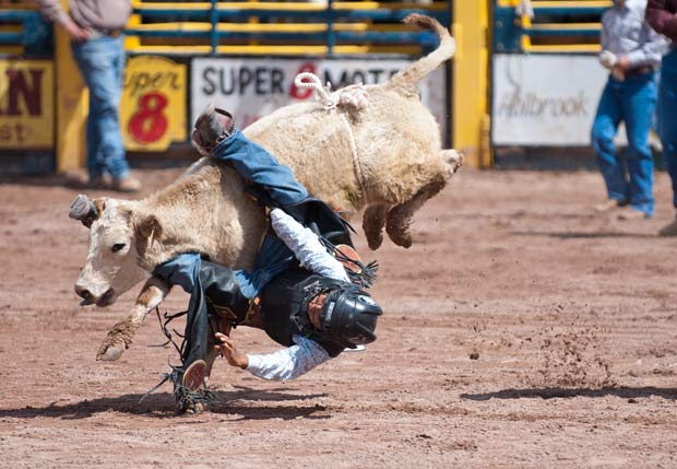 Lil Buckaroo Rodeo | Latest News | wmicentral.com