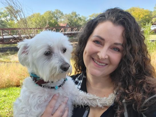 A small animal rescue may soon be a reality in Snowflake | News ...