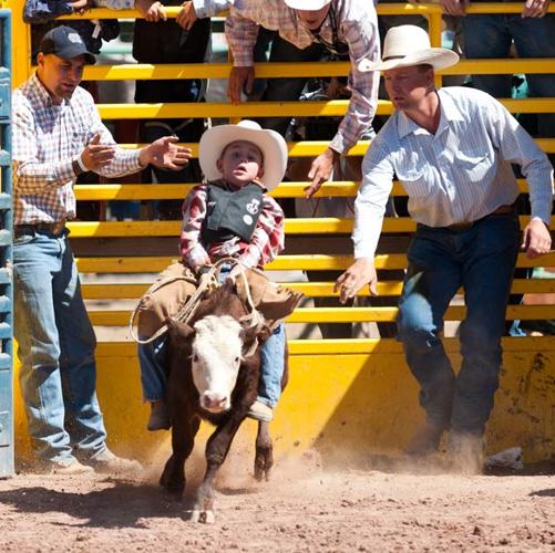 Ride 'em Little Buckaroos - Navajo County Fair | Multimedia ...