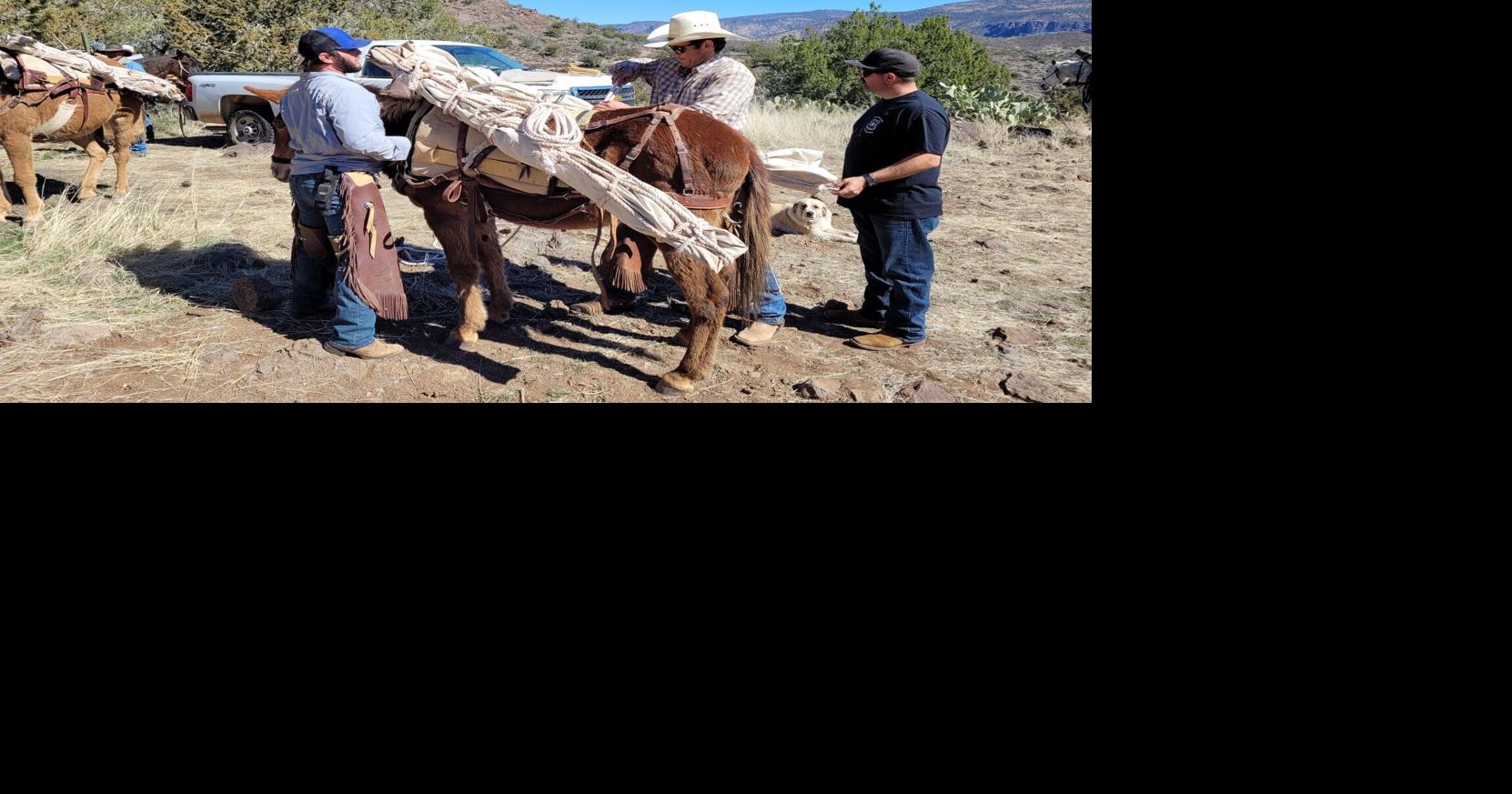 Pioneer-era horses, mules and packtrains help manage the Tonto National ...