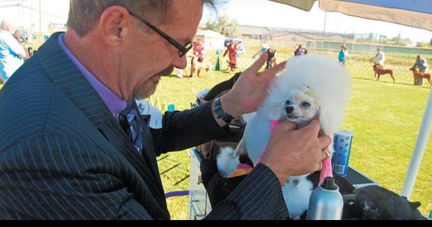 Big Dog Show | Latest News | wmicentral.com