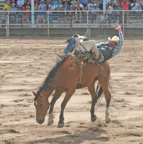 Apache County Sheriff’s Posse Rodeo rocks | Premium News | wmicentral.com