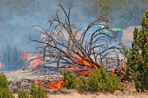 New "Wash" fire burning off Highway 377 near Heber-Overgaard now ...