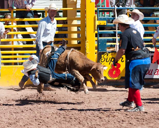 Ride 'em Little Buckaroos - Navajo County Fair | Multimedia ...