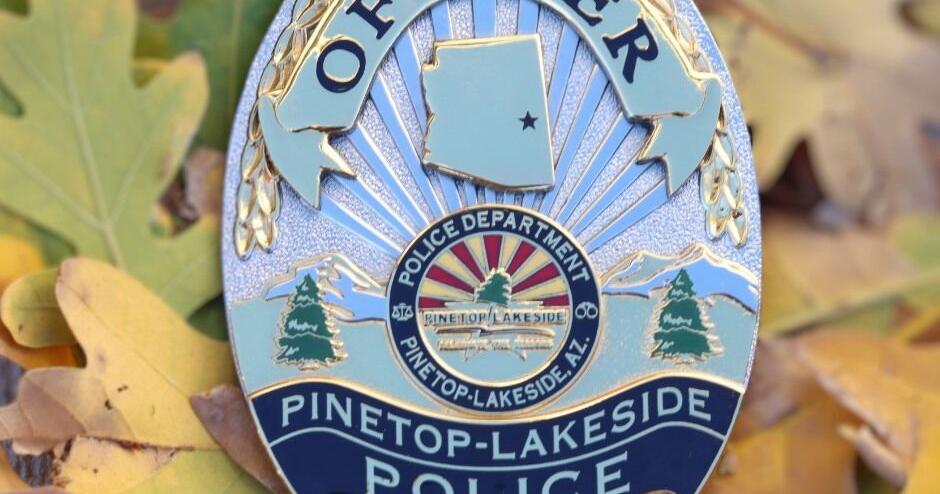 Pinetop-Lakeside Police Department log, Feb. 3-7 | Police | wmicentral.com