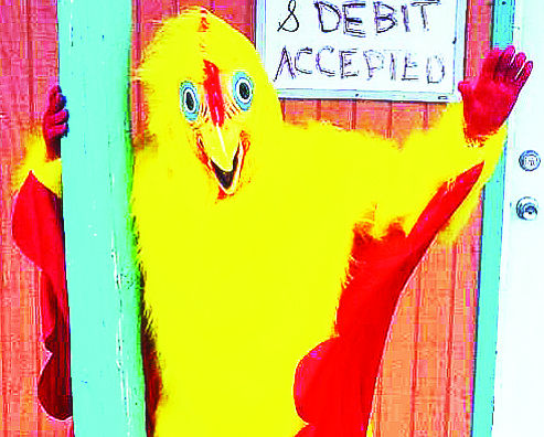 Cheers to Concho: Screamin’ Chicken owners Pete and Sherry Phillips ...