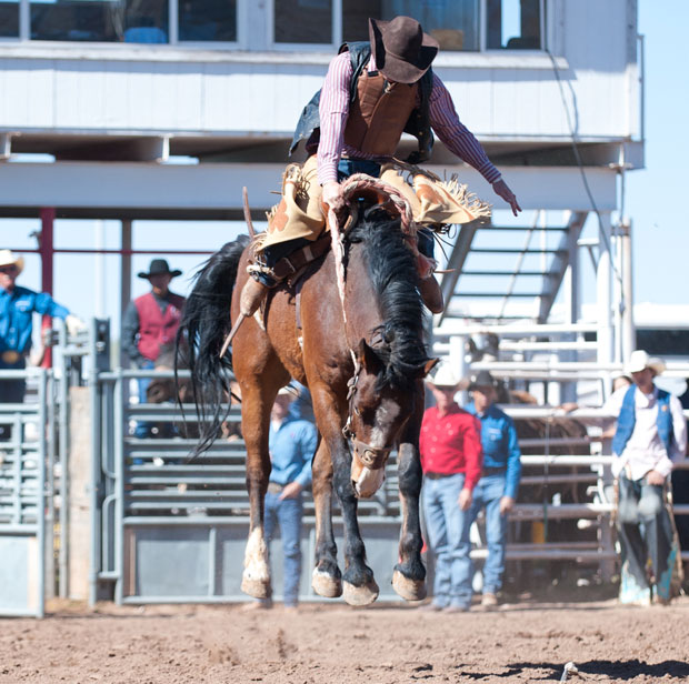 Pick-up man | Latest News | wmicentral.com