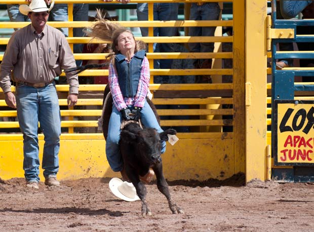 Lil Buckaroo Rodeo | Latest News | wmicentral.com