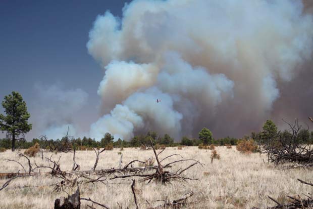 Wash Fire near Heber-Overgaard 10% contained, burning 1,955 acres ...