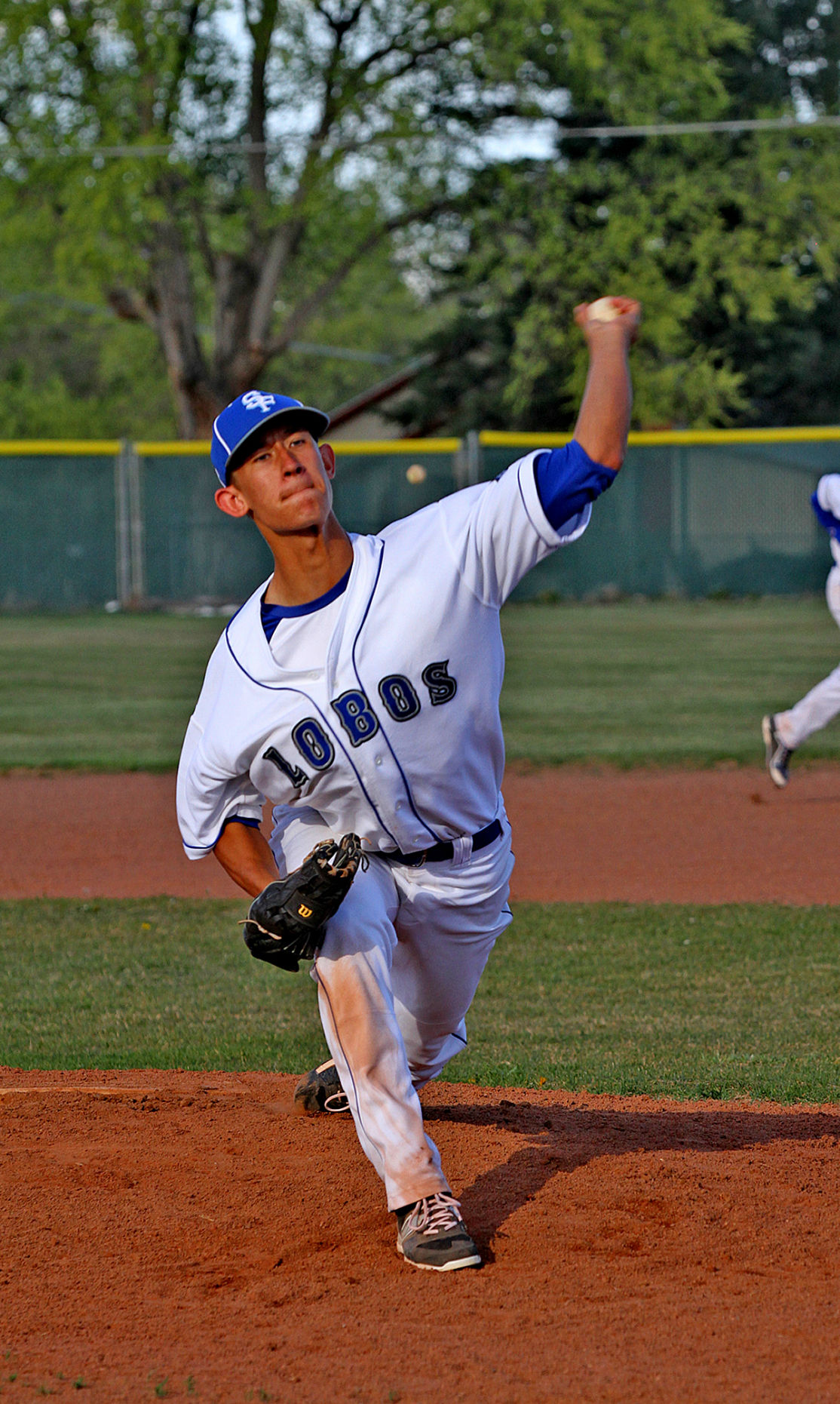 Lobos’ Tyler Hanson chosen as Player of the Year | Local Sports ...