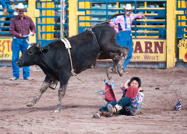Lil Buckaroo Rodeo | Latest News | wmicentral.com